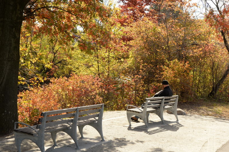 Starlight Park Highlights : NYC Parks
