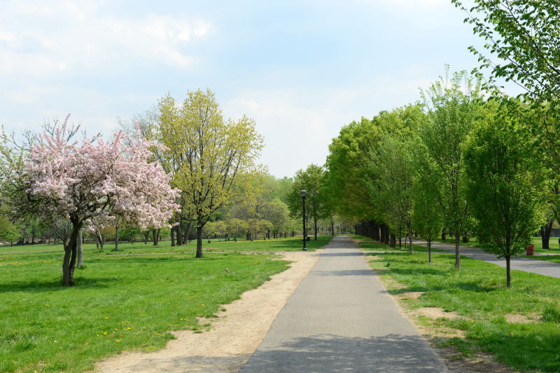 Soundview Park : NYC Parks