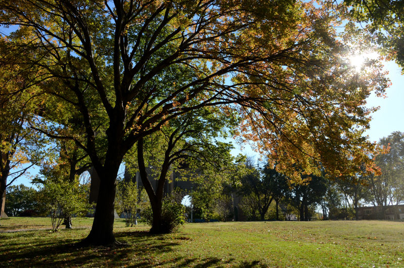 Astoria Park Events : NYC Parks