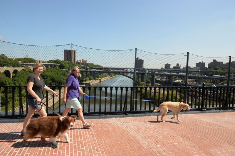Highbridge Park : NYC Parks