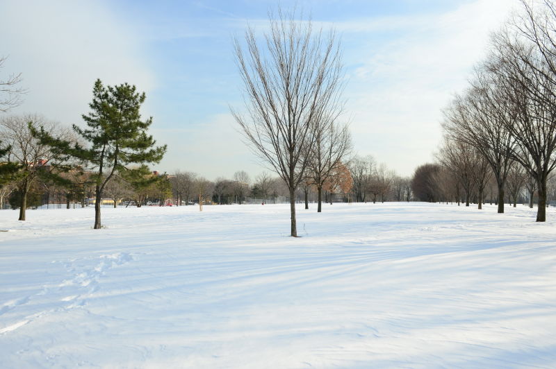 Soundview Park Images : NYC Parks
