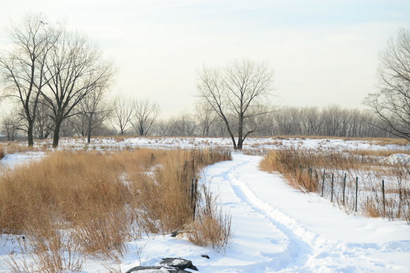 Soundview Park : NYC Parks