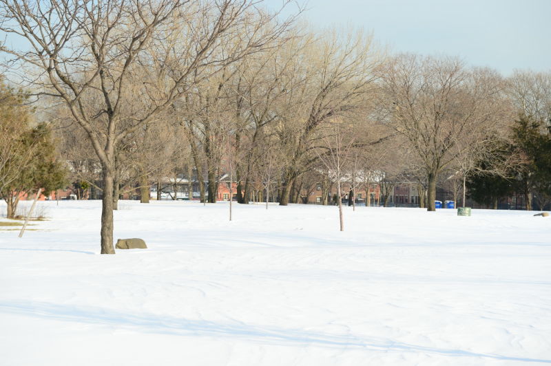 Soundview Park Images : NYC Parks