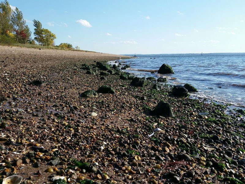 Conference House Park Highlights - Conference House : NYC Parks