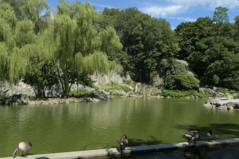 Morningside Park : NYC Parks