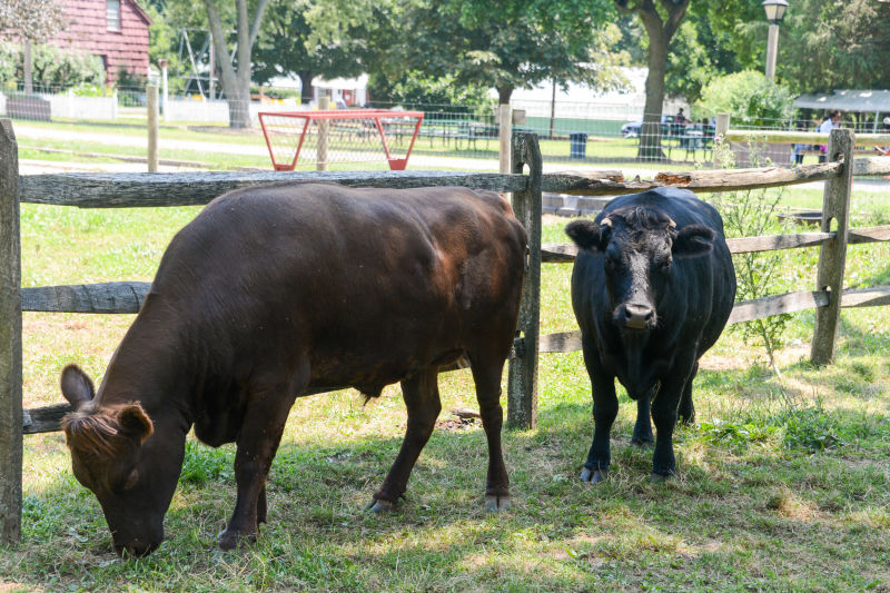 Queens Farm Park Historic Houses : NYC Parks