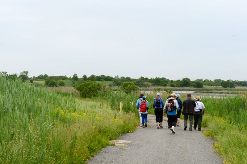 Freshkills Park : NYC Parks