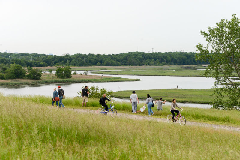 Freshkills Park Highlights - Salt Marshes in New York City Parks ...
