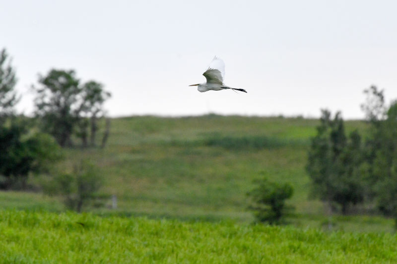 Freshkills Park : NYC Parks