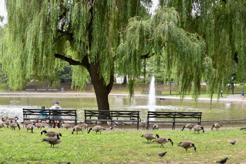 Bowne Park : NYC Parks