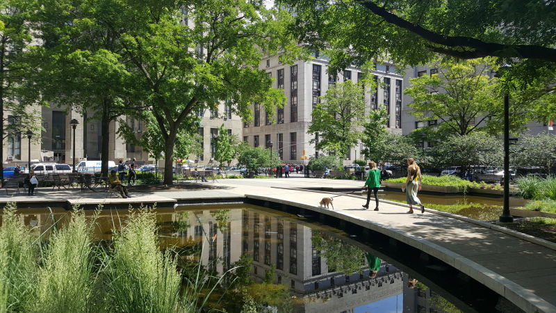 Collect Pond Park Inspections : NYC Parks