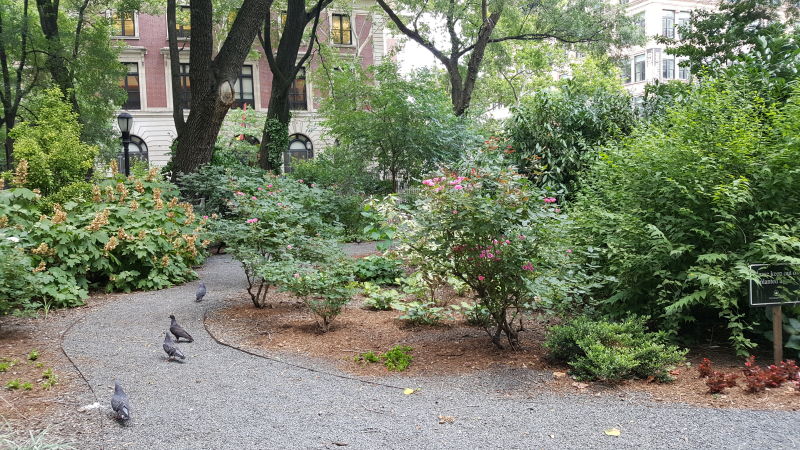 Seward Park : NYC Parks