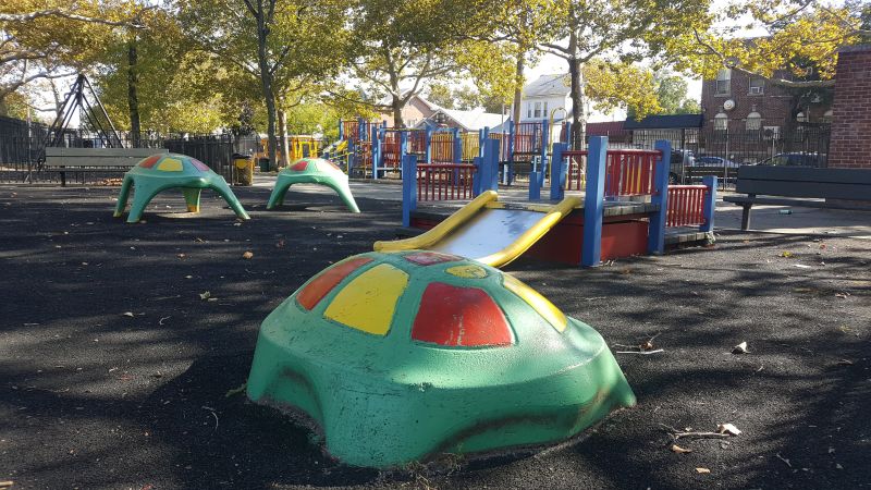 Turtle Playground : NYC Parks
