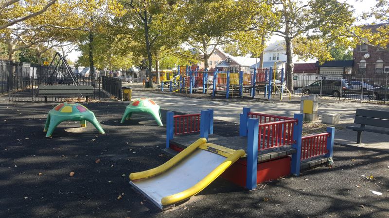 Turtle Playground : NYC Parks