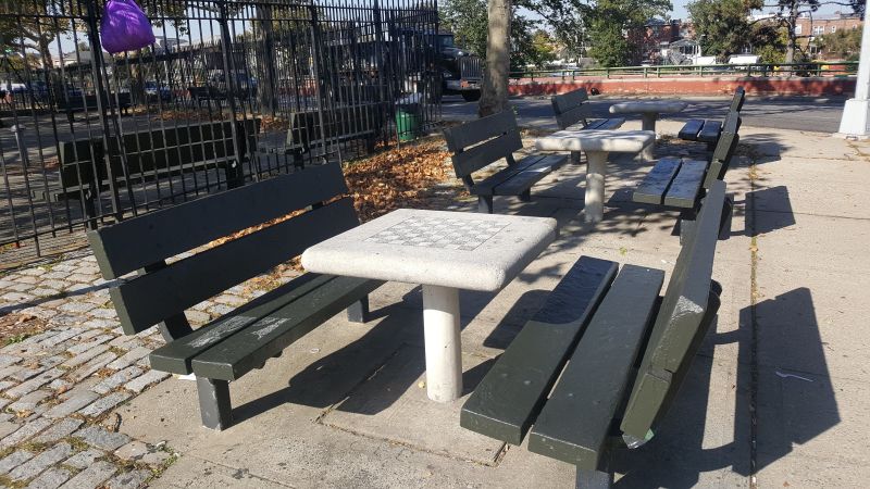 Turtle Playground : NYC Parks