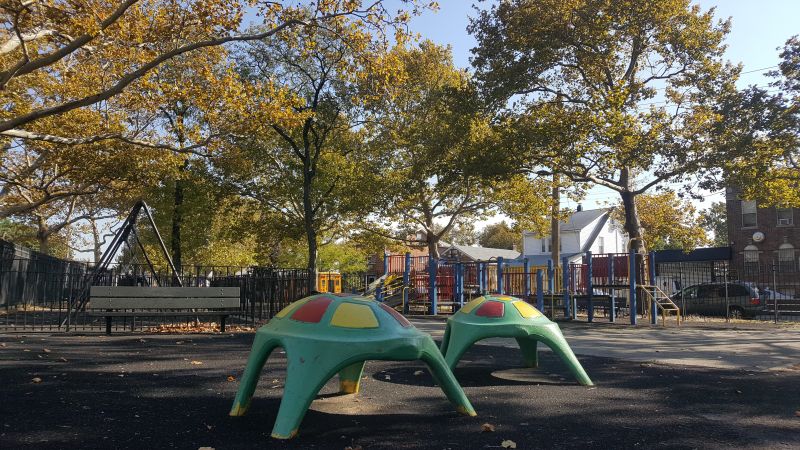 Turtle Playground : NYC Parks