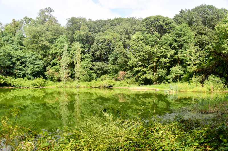 Forest Park : NYC Parks