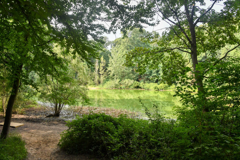 Forest Park News - CITYWIDE TOURNAMENT HAS NATIONWIDE APPEAL : NYC Parks