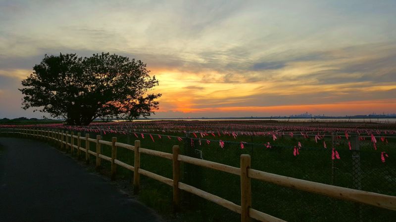 Sunset Cove Park News : NYC Parks