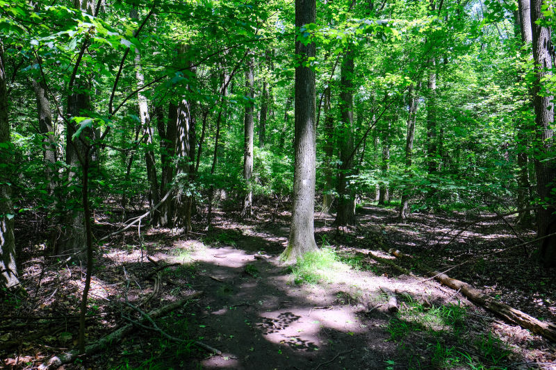 Willowbrook Park Events : NYC Parks