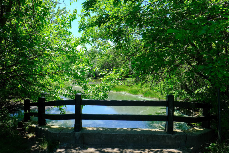 Willowbrook Park Events : NYC Parks