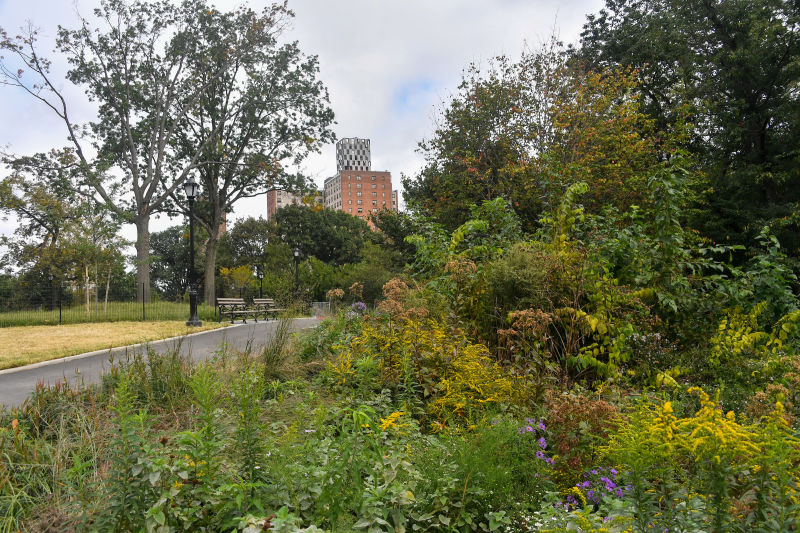 St. Mary's Park : NYC Parks