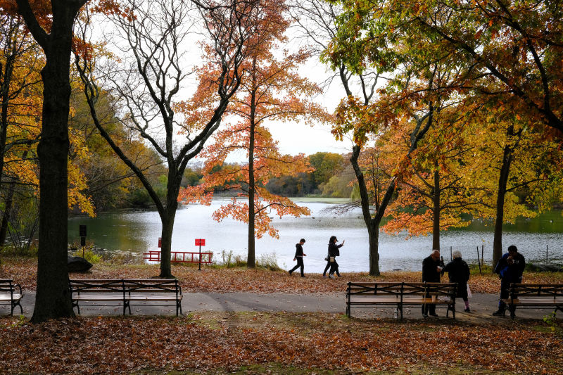 Alley Pond Park Images : NYC Parks