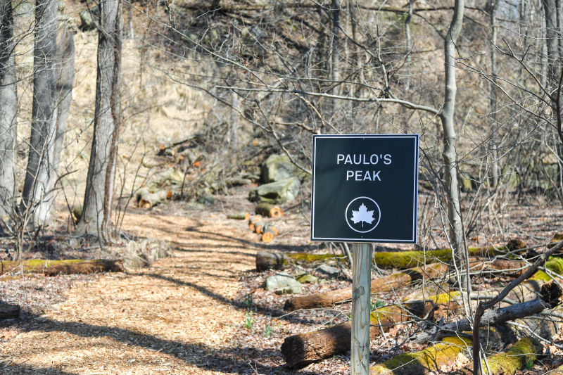 Blood Root Valley : NYC Parks