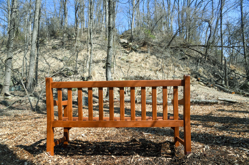 Blood Root Valley : NYC Parks