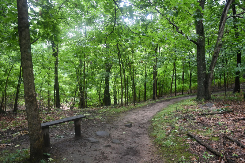Blood Root Valley : NYC Parks