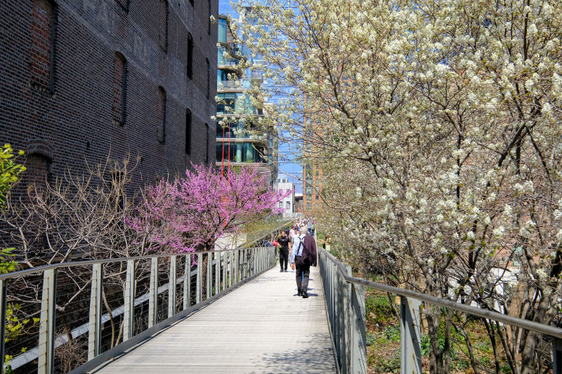 The High Line Events - High Line Art: "NOAA: A Fall Towards Home" by ...