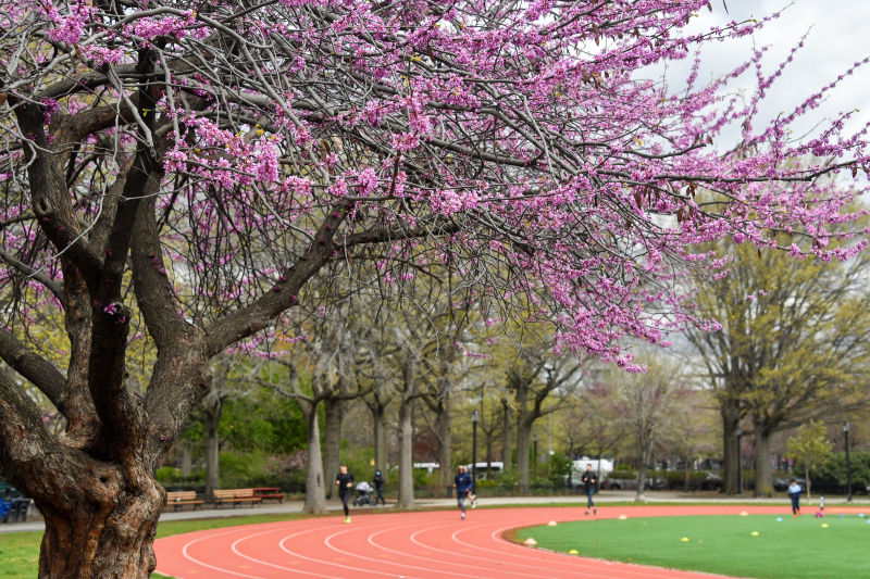 McCarren Park Images : NYC Parks
