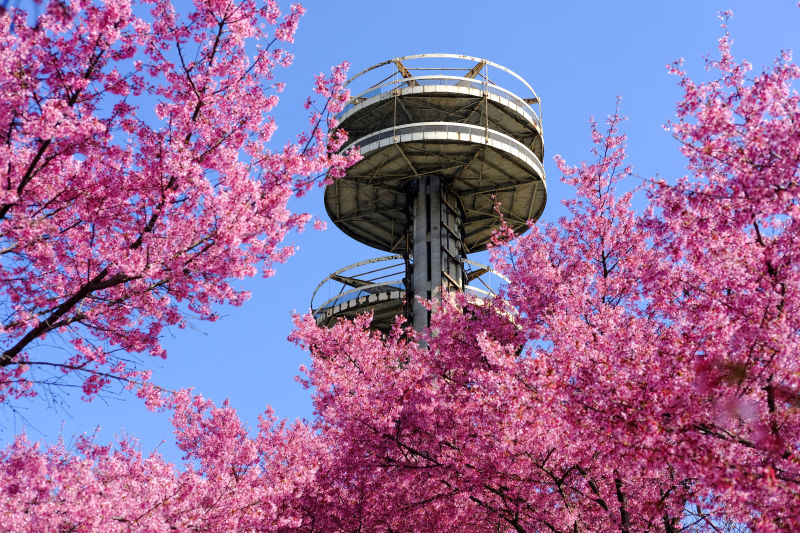Flushing Meadows Corona Park Events : NYC Parks