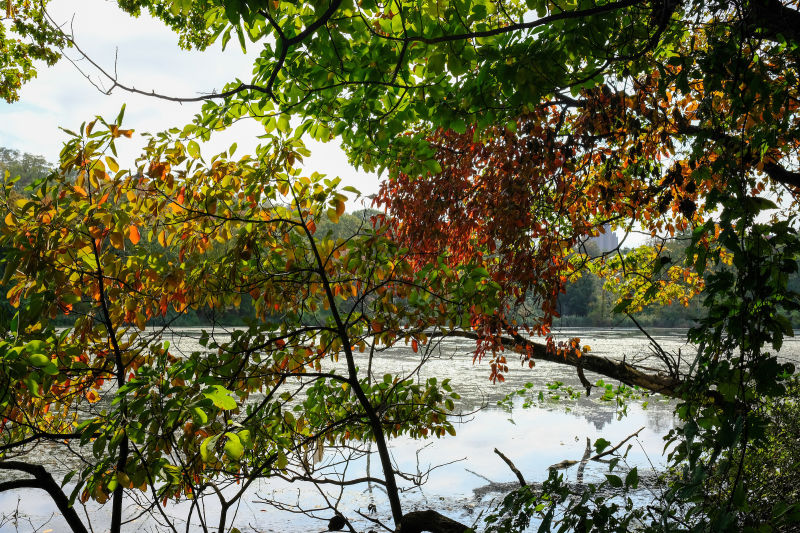 Van Cortlandt Park : NYC Parks