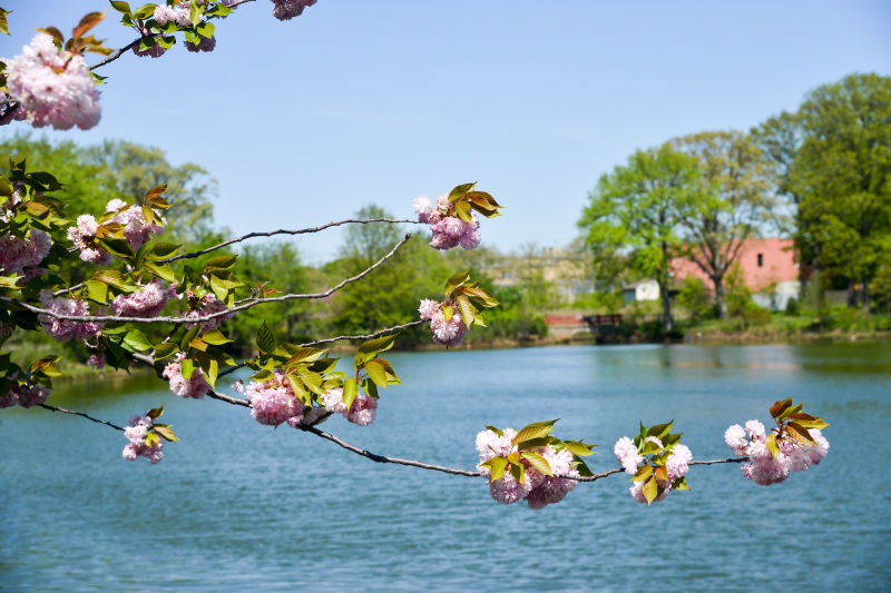 © Copyright New York City Department of Parks & Recreation.