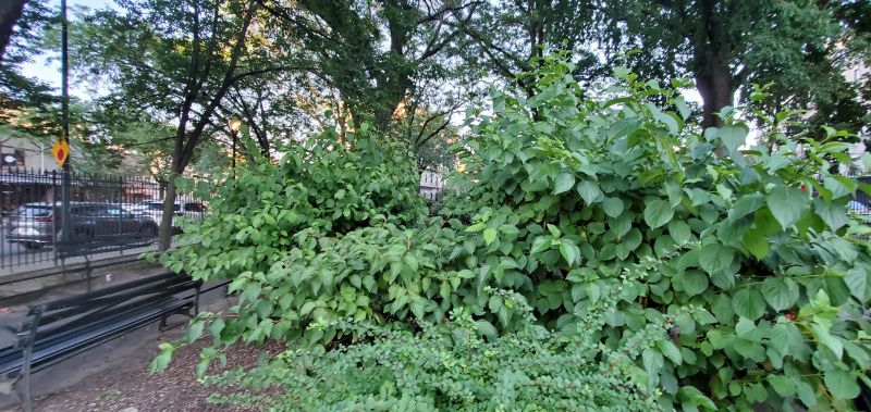 D'Auria-Murphy Triangle Monuments - Christopher Columbus : NYC Parks