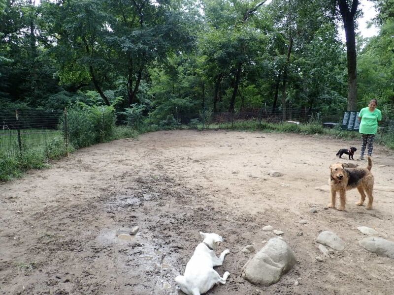 Hackett Park Highlights : NYC Parks