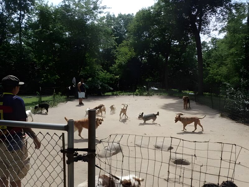 Hackett Park Highlights : NYC Parks