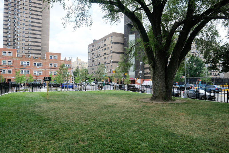 Mapes Park Highlights : NYC Parks
