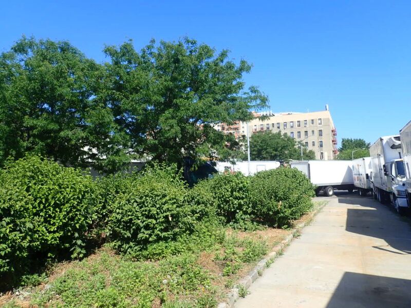 Martin Luther King Triangle News - African-American Namesake Parks ...
