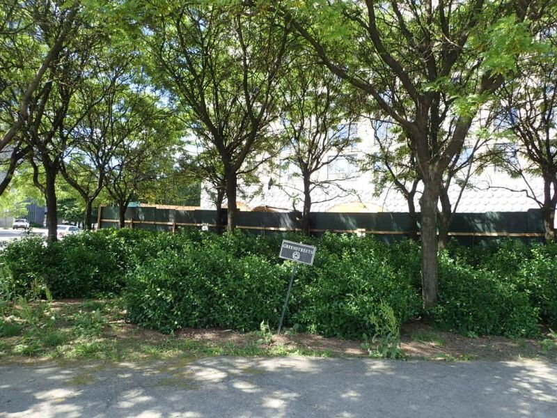 Triangle Events : NYC Parks