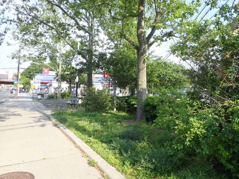 Young Park : NYC Parks