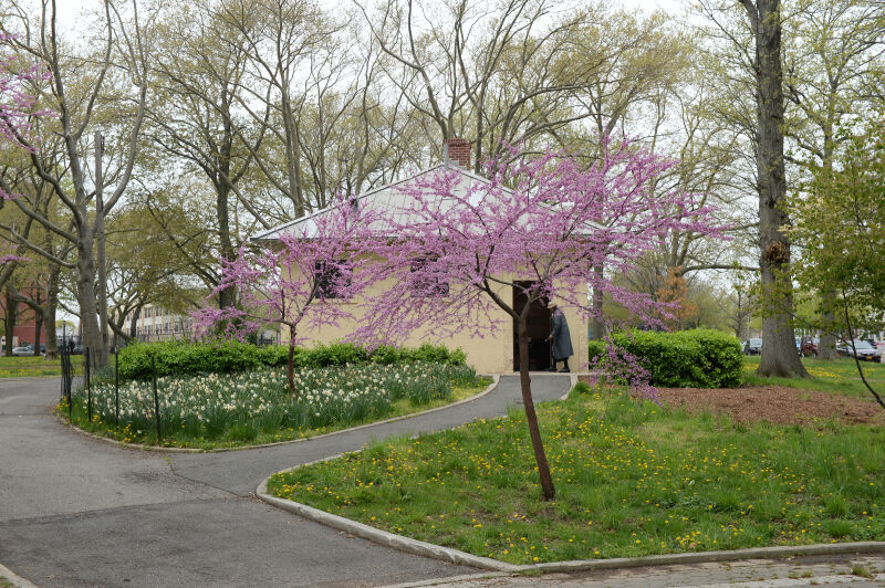 Baisley Pond Park Events - Aquatic Insects Exploration : NYC Parks