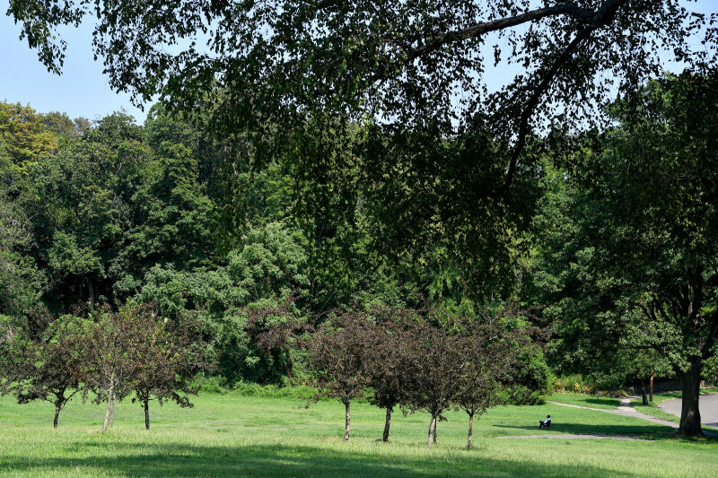 Crocheron Park Images : NYC Parks
