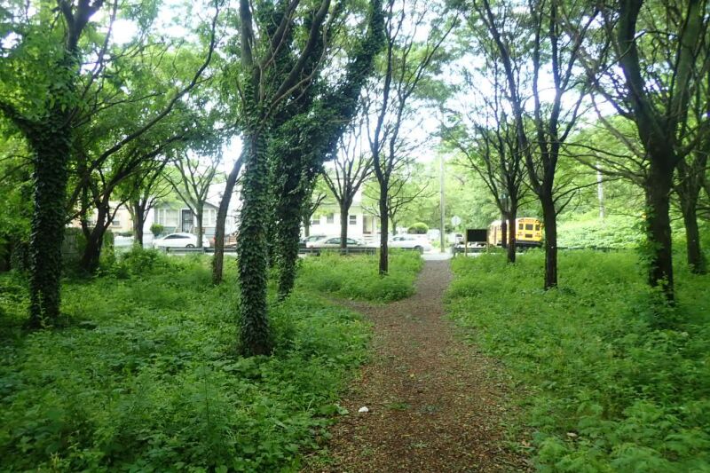Gwen Ifill Park : NYC Parks