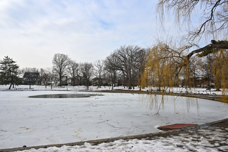 Bowne Park Highlights : NYC Parks