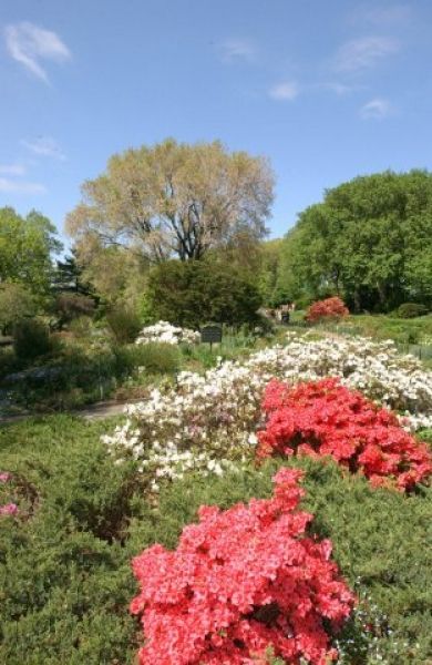 Fort Tryon Park Images : NYC Parks