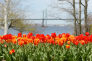 Fort Totten Park Images : NYC Parks