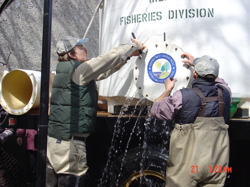 Anadromous Fish Reintroduction : Bronx River Restoration Projects ...
