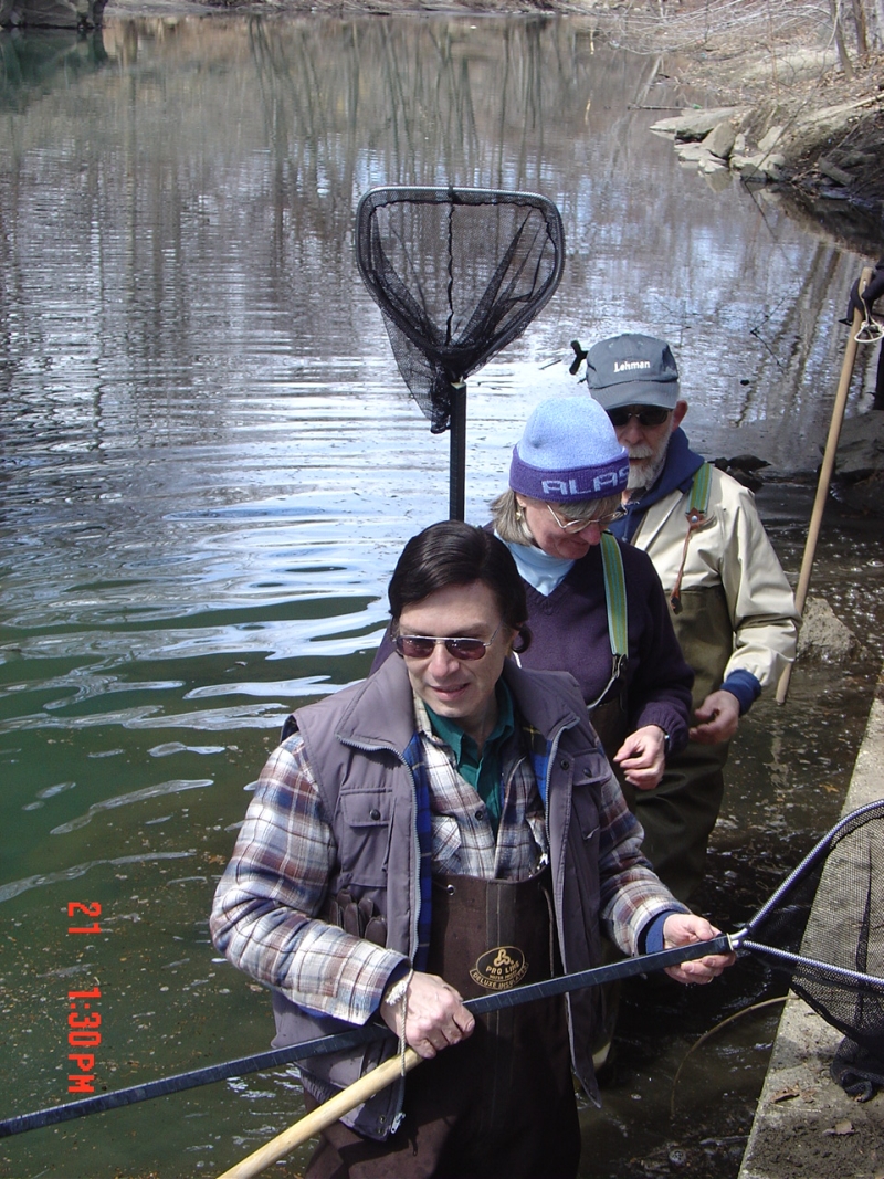 Anadromous Fish Reintroduction : Bronx River Restoration Projects ...